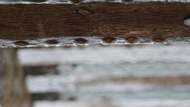 Rain drops on wood stock photo. Image of plank, drop - 173428608