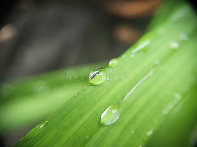 Zoomed Water Drop Stock Photos - Free & Royalty-Free Stock Photos from ...