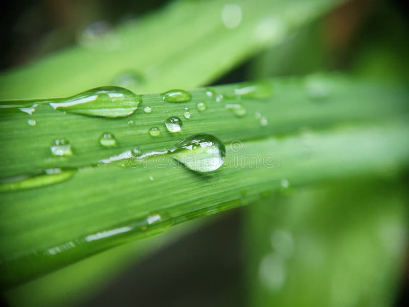 Zoomed Water Drop Stock Photos - Free & Royalty-Free Stock Photos from ...