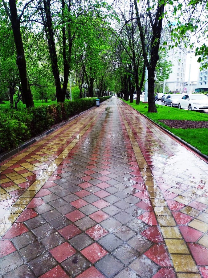 I Walk in Rainy Weather in the City of Dushanbe Stock Image - Image of ...
