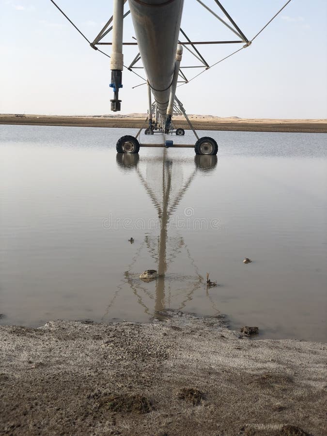 Rain every where stock photo. Image of wildlife, grass - 271357492