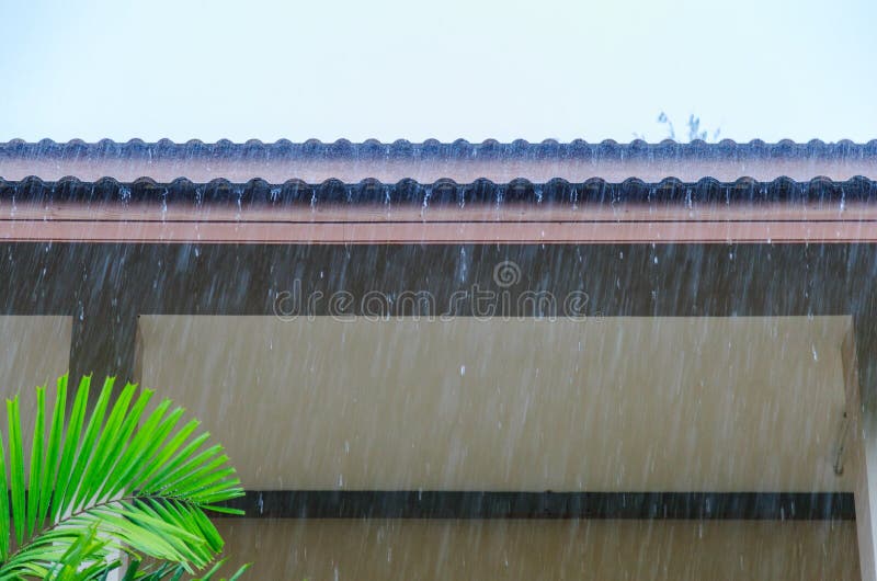 A Rain Fall Down on the Roof. Stock Photo - Image of rainwater, nature ...