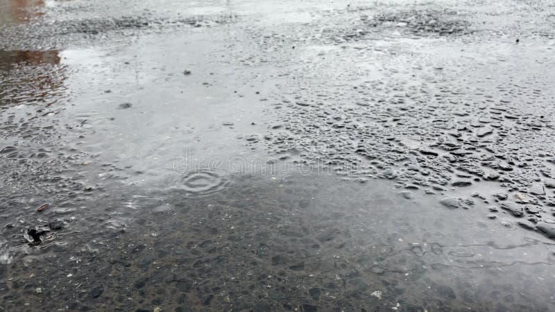 Rain Falling on the Asphalt, Summer Heavy Rain Drops Falling into ...