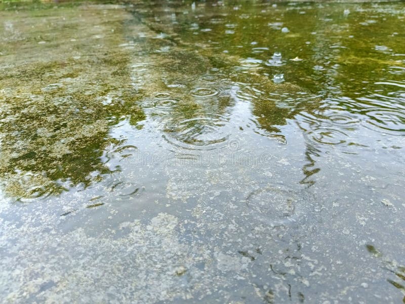Rain Falling on Concrete Pavement Creating Ripples and Reflections ...