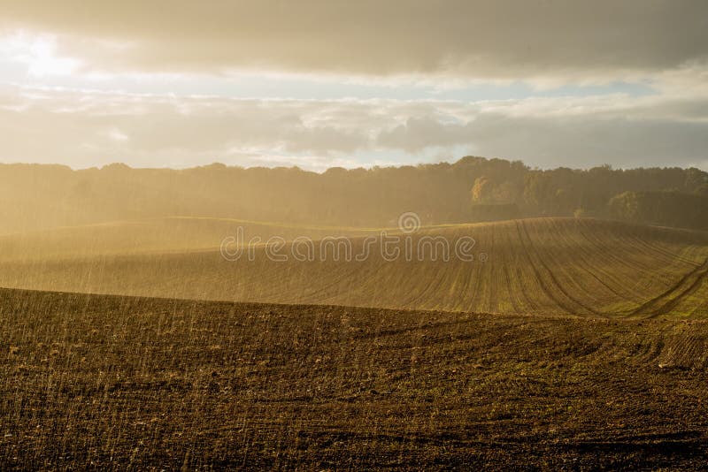 Rain Falling on Farm Field stock image. Image of raindrop - 80268543