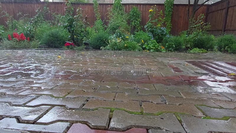 Rain Falling on Garden Stone Pavement Stock Footage - Video of water ...