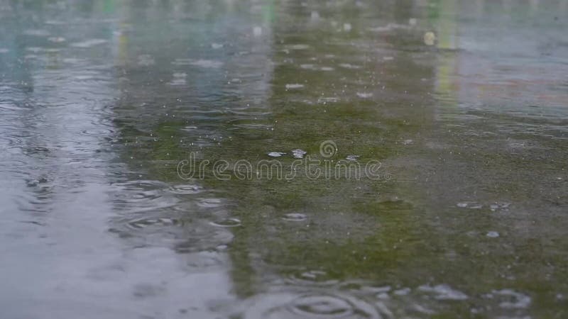 The Rain is Falling on the Ground Stock Footage - Video of nature ...