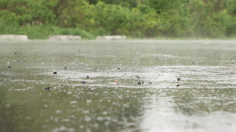 Rain Falling Lightly on Pavement in Park Stock Footage - Video of ...