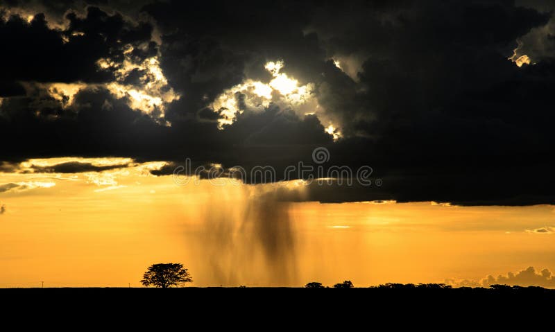 Rain Falling only in One Part of the Field. Stock Image - Image of ...
