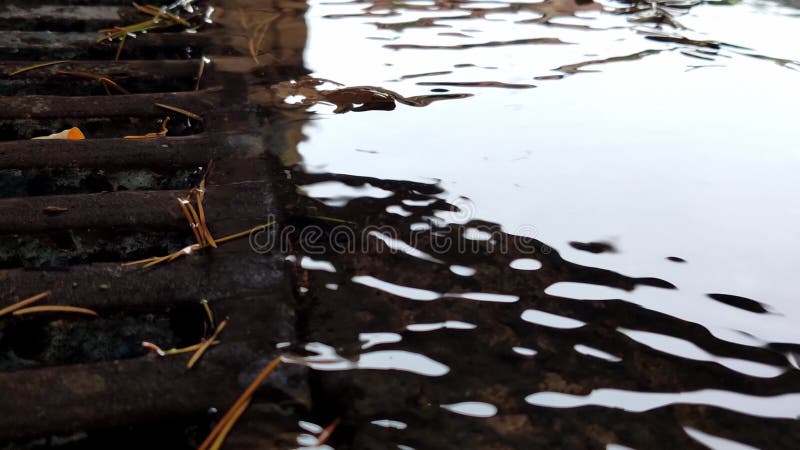 Rain Falling on Pavement Spring Rain is Falling and Drops of Water are ...