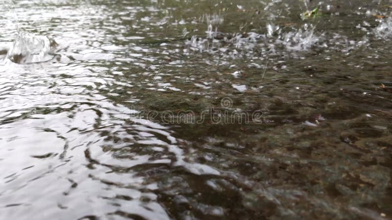 Rain Falling on Pavement Rain Water Drop Falling To the Floor. the Rain ...