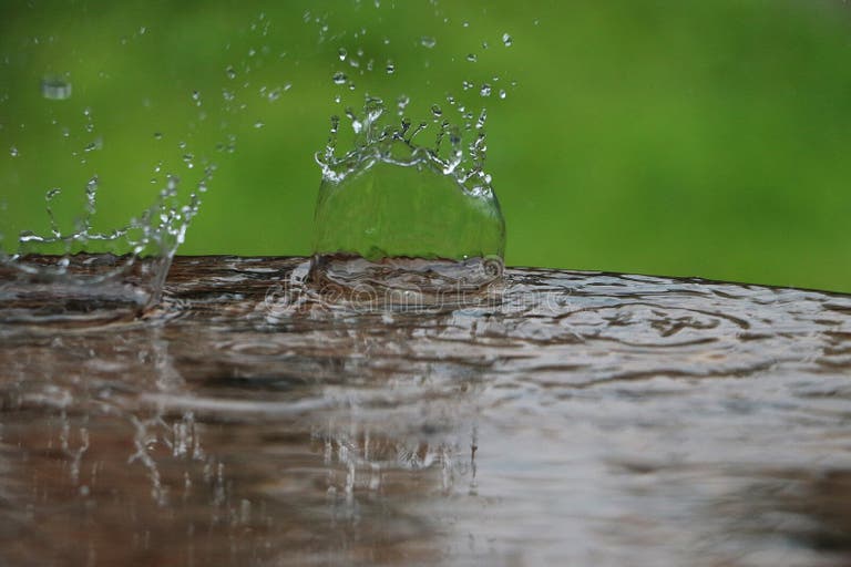 Rain is Falling in a Puddle in the Garden Stock Image - Image of ...