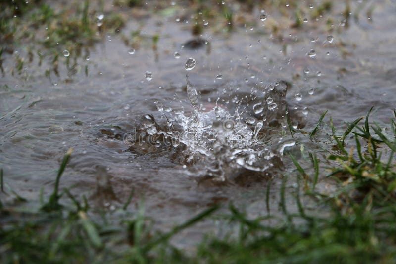 Splashing Rain in the Puddle Stock Photo - Image of circle, floor ...