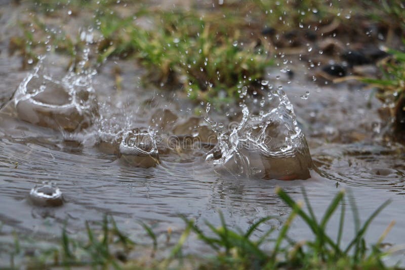 Splashing Rain in the Puddle Stock Image - Image of motion, heavy ...