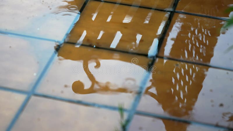 Rain Falling on a Puddle in the Garden Where You Can See a Shadow of a ...