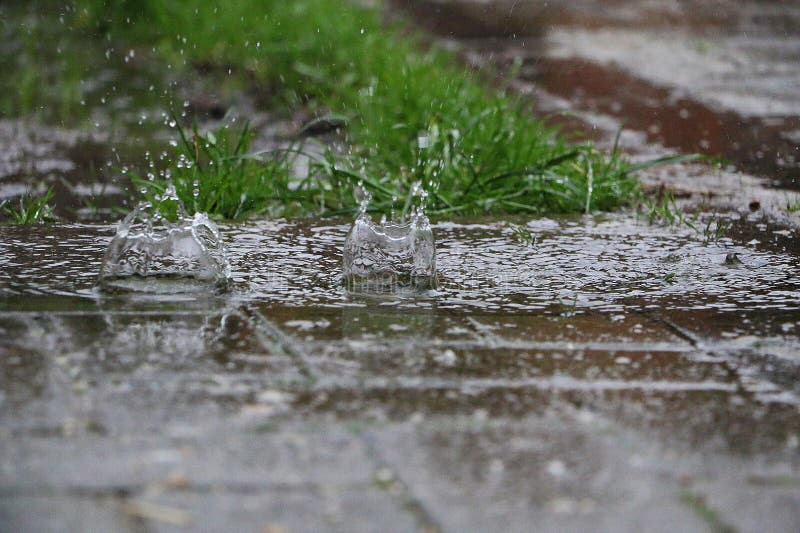 Hard Rain is Falling and Splashing on the Asphalt in the Garden Stock ...