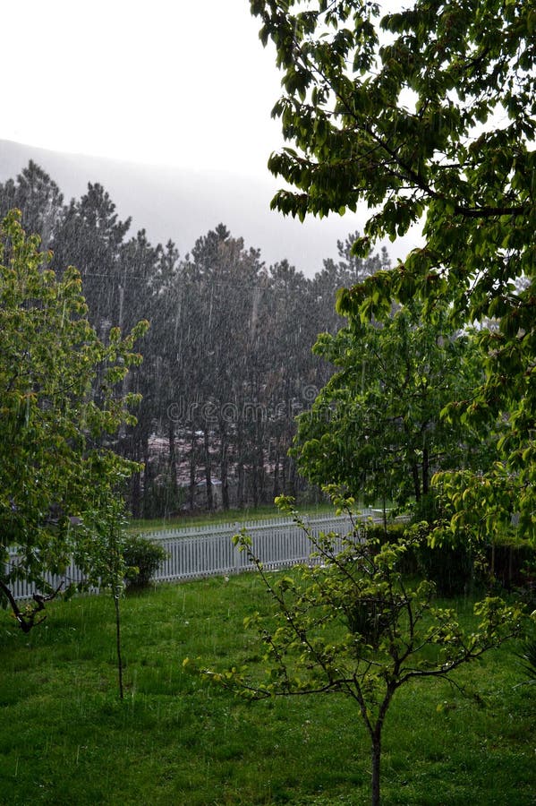 Rain falls in the spring stock image. Image of leaf - 146373769