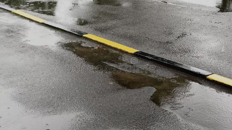 Rain Falls on Wet Asphalt with Road Markings Stock Video - Video of ...