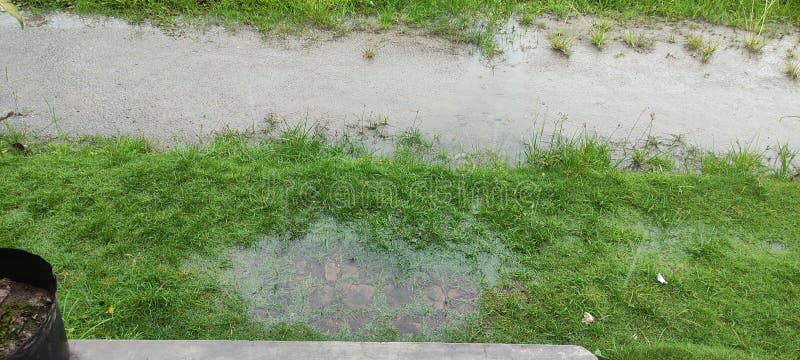 The Rain Fell Again, Wetting the Grass Stock Image - Image of fell ...