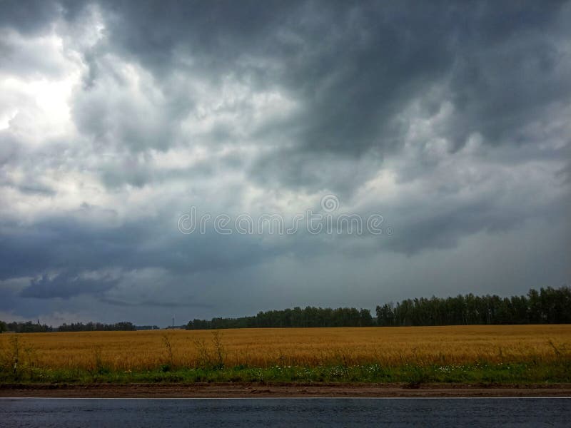 Rain in fields stock image. Image of rain, summer, fields - 153895179