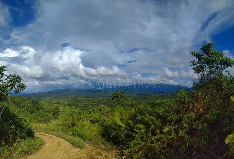 Rain Forest, Borneo, Bukit Baka Bukit Raya Stock Image - Image of soil ...