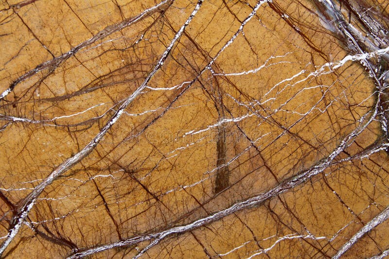 Rain Forest Brown Stone Plate Marble Background Grain Stock Photo ...