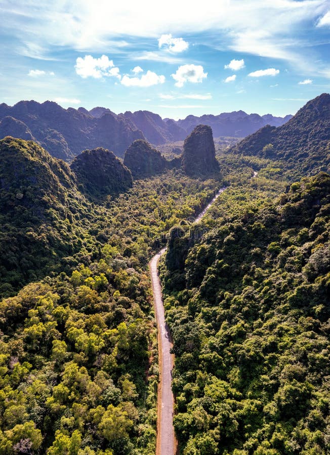 Rain Forest in Cat Ba Island from Aerial View Stock Photo - Image of ...