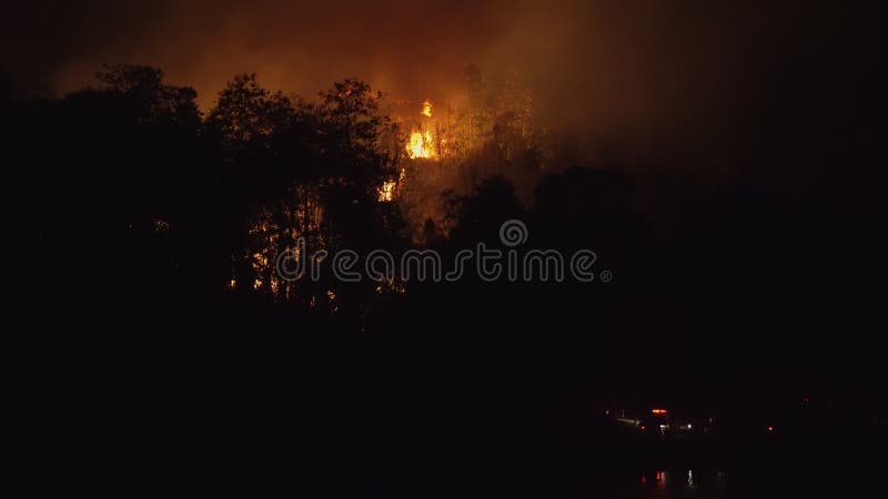 After Rain Forest Fire Disaster Burning Caused by Humans Stock Video ...