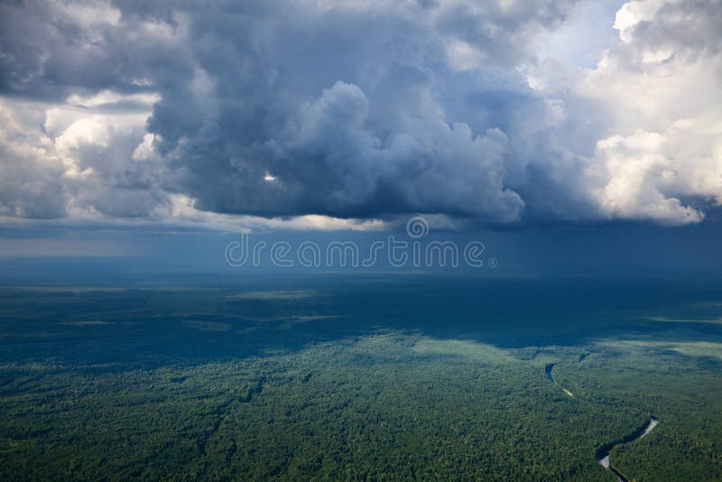 Rain on the forest land stock photo. Image of natural - 32665042