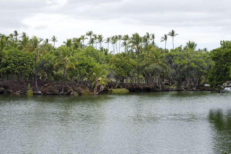 Rain Forest and Ocean Coast, Hawaii Stock Image - Image of rain, plant ...