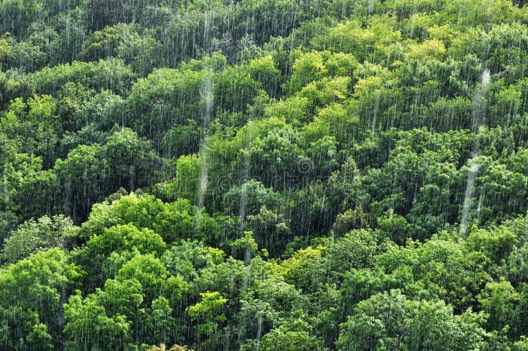 42,044 Noahh Rainfall Stock Photos - Free & Royalty-Free Stock Photos ...