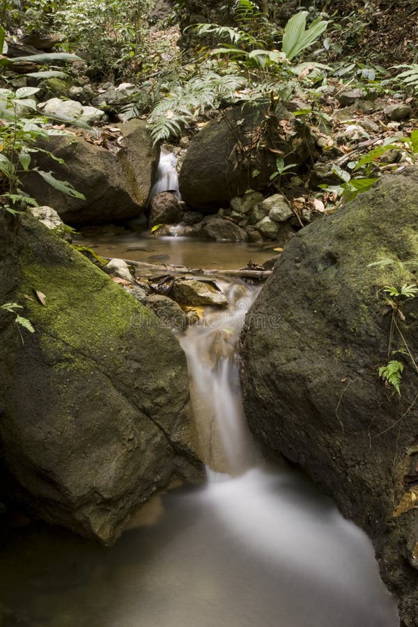 Rain-Forest Small Waterfall Stock Photo - Image of soft, rain: 8270262