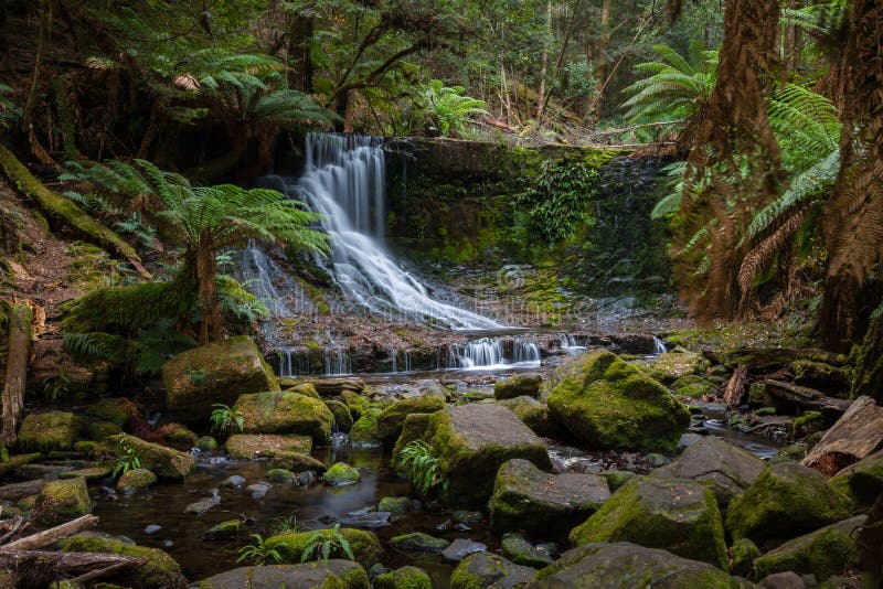 Tasmanian Wilderness stock image. Image of track, landscape - 3413283