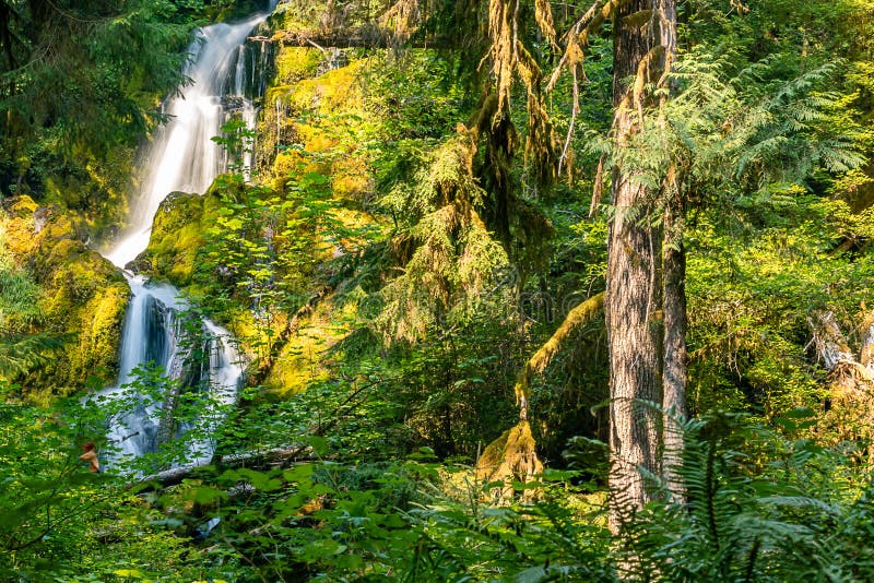 Washington State Lookout with Rocky Surface Overlooking Forest Stock ...