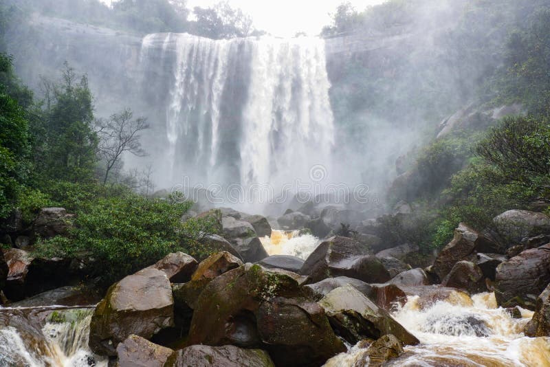 Rain forest waterfall stock image. Image of outdoor, motion - 98268991