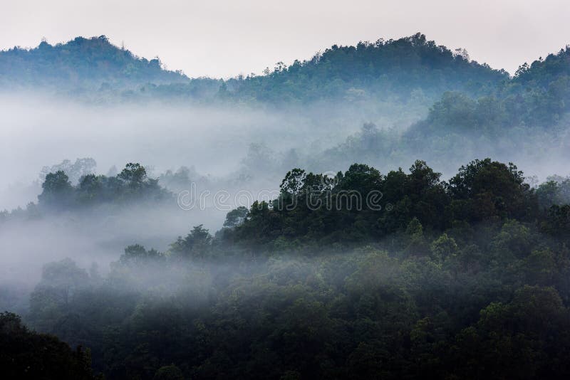 Rain Forests and Mist-covered Mountains, Stock Image - Image of outdoor ...