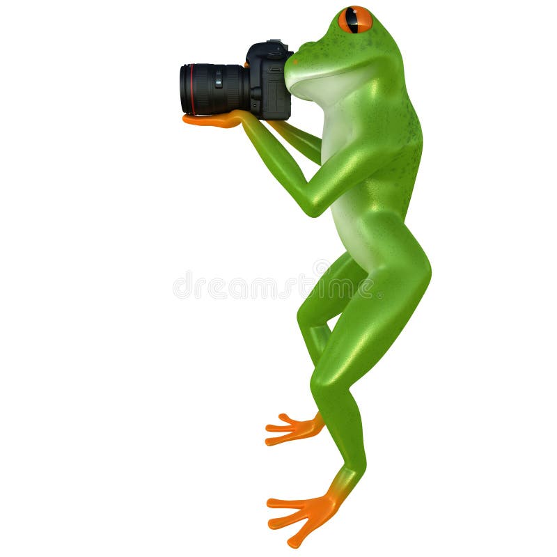 Rain frog photographs stock illustration. Illustration of click - 63327573