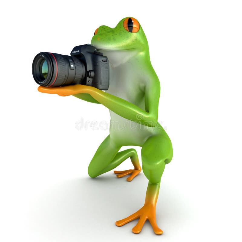 Rain frog photographs editorial photo. Illustration of shoot - 63330726