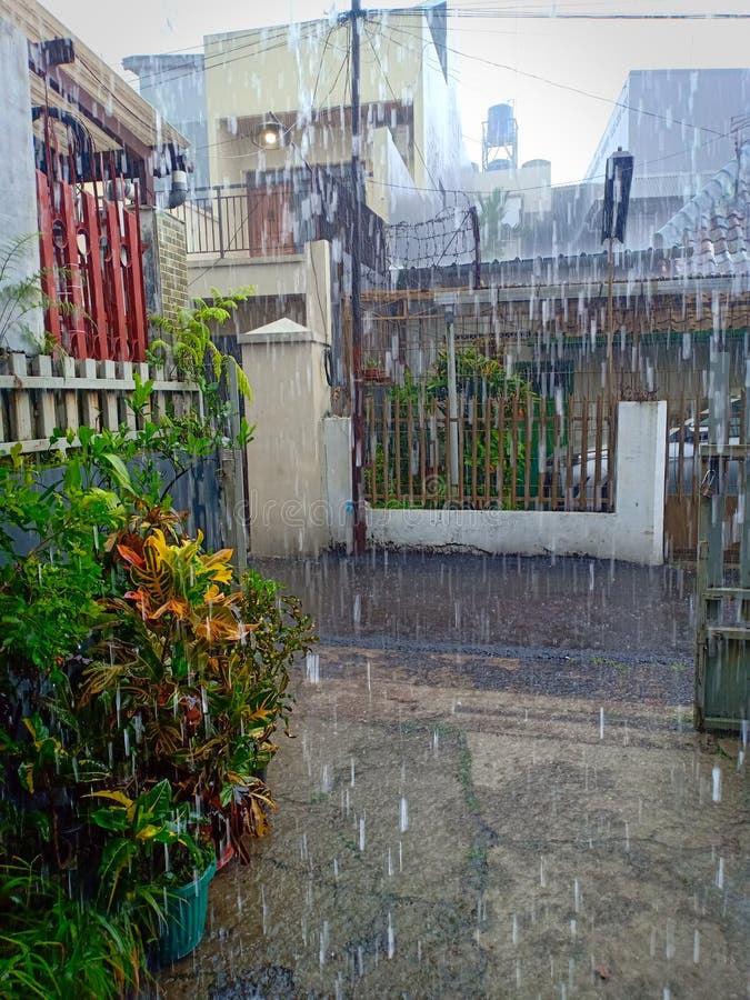 Rain is God& X27;s Grace without Rain Life Cannot Live Stock Photo ...