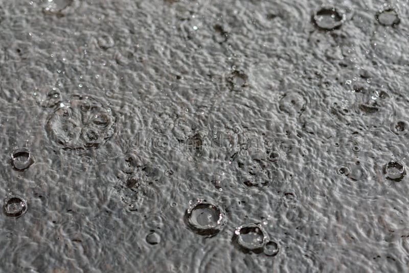 Rain Gray Background. Drops on a Puddle Stock Photo - Image of ...
