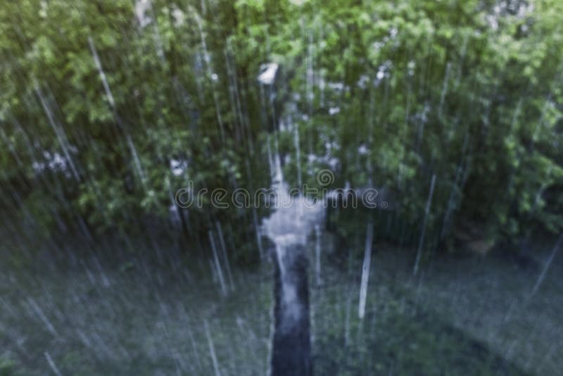 Rain and green trees stock image. Image of splash, scene - 72963659