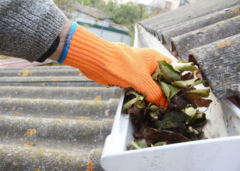 Rain Gutter full of leaves stock image. Image of drain - 7442333 Rain Gutter full of leaves stock image. Image of drain - 7442333