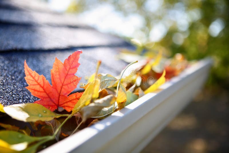 Rain Gutter full of leaves stock image. Image of drain - 7442333 Rain Gutter full of leaves stock image. Image of drain - 7442333