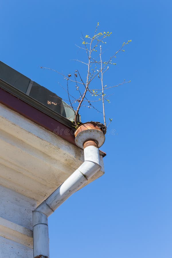 Rain gutter on house stock photo. Image of condo, rooftop - 40124922