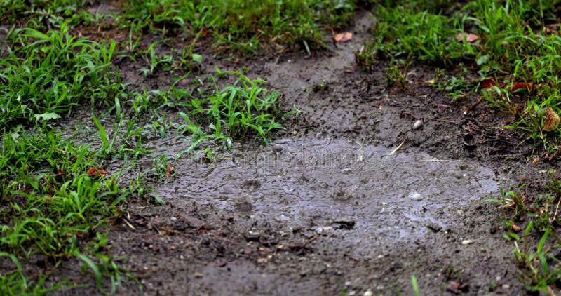 Rain Hitting Puddle of Mud on the Ground Stock Footage - Video of ...