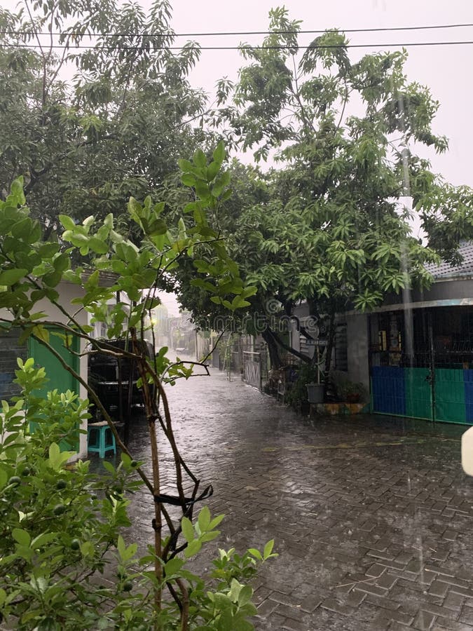 Rain at house in afternoon stock image. Image of flower - 267374749