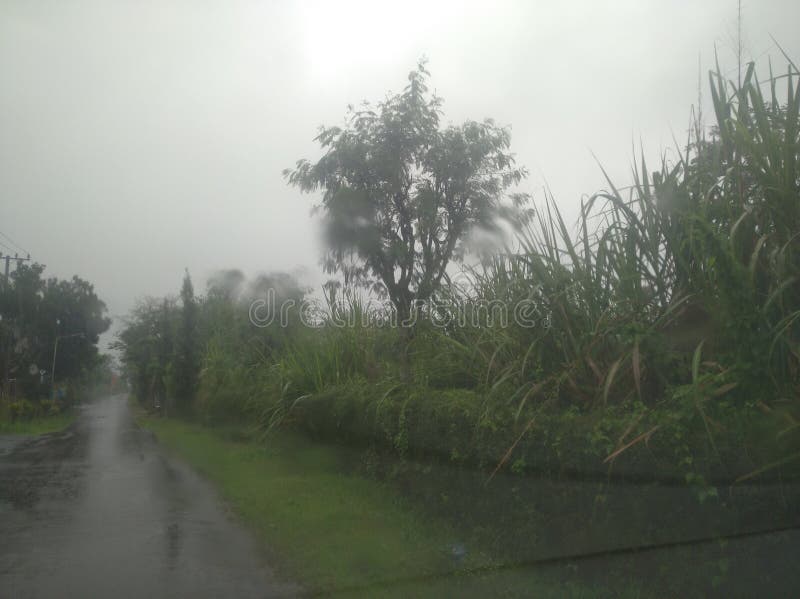 After rain stock photo. Image of shows, rain, camera - 330503334