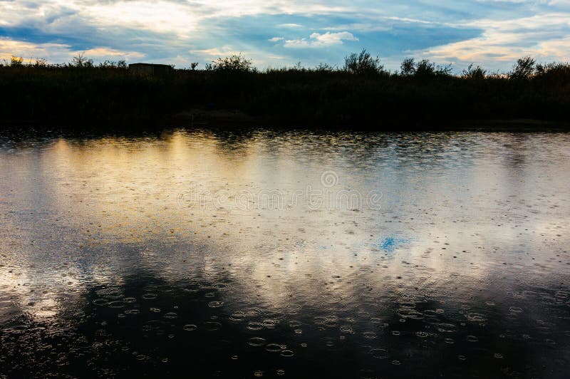 Rain on lake stock image. Image of shoreline, tree, trees - 62819141