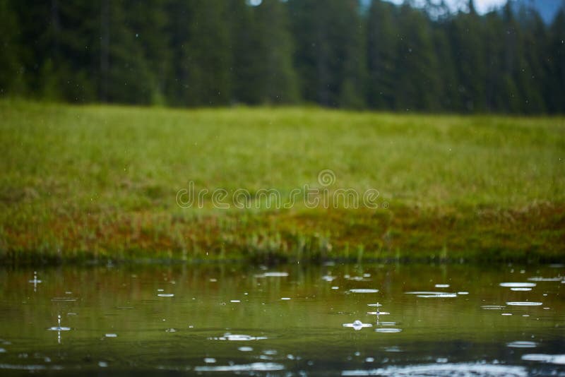 Rain on a lake stock image. Image of water, raindrop - 133157337