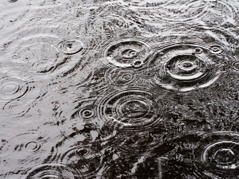 Rain on a lake stock photo. Image of raining, weather - 367727474